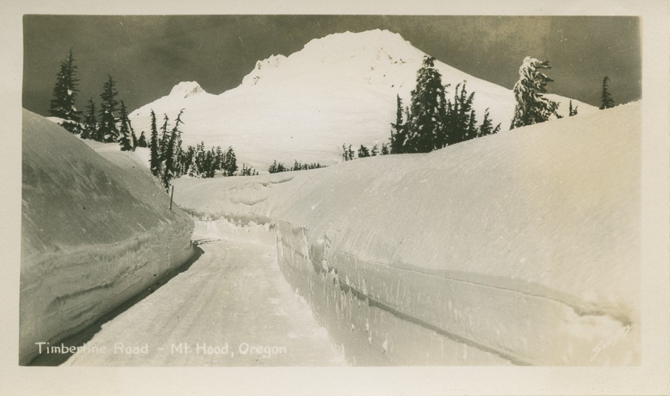 The Gallery | The Gallery